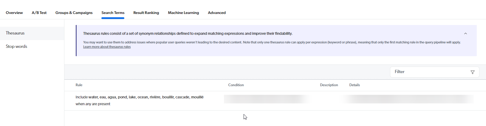 Thesaurus entries impacting partial match setting